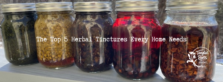 The Top 5 Herbal Tinctures Every Home Needs – Tangled Roots Herbal
